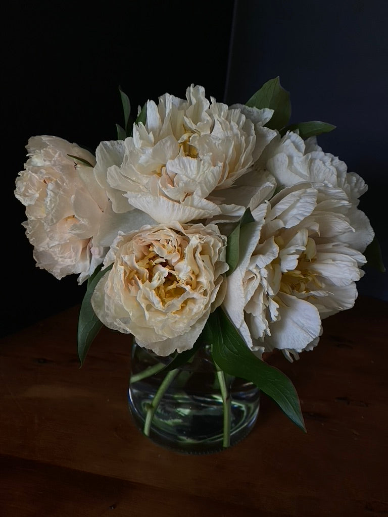 Peony Flower Subscription (4 weeks, 4 deliveries) – Aguita Flowers